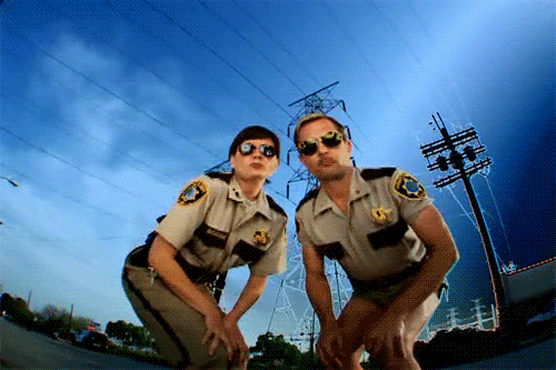 Reno 911 Meme