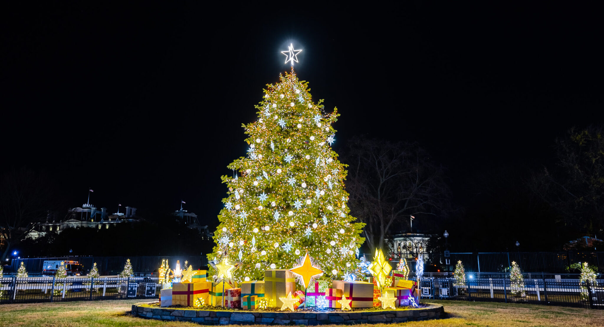 national christmas tree lighting – foolish watcher